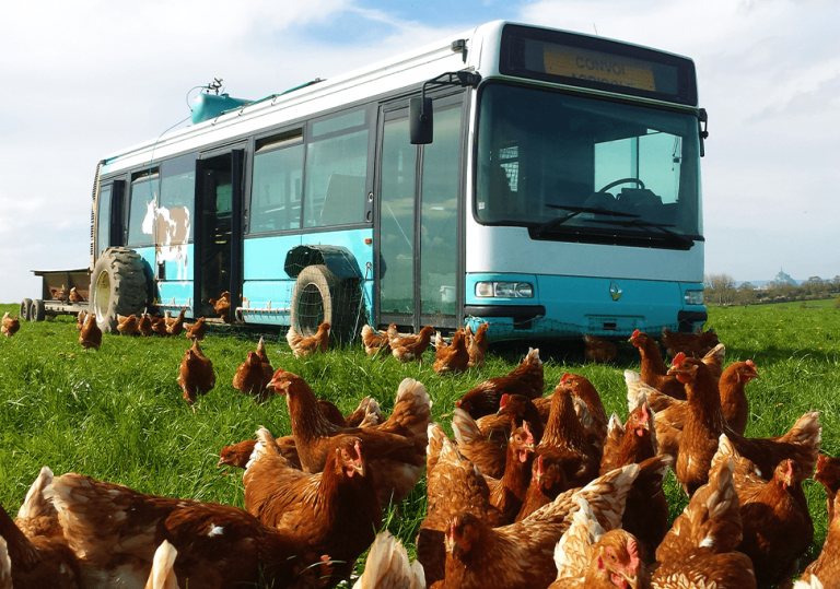 Partez à la rencontre des animaux de la ferme | Cara-Meuh